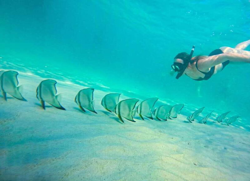 Private Charter Boat Around Koh Tao Snorkel Paradise - FAQ