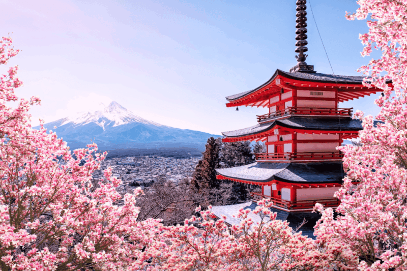 Private Charter Car One Day Trip for Mt Fuji - Inclusions and Exclusions