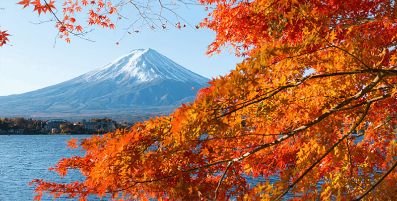 Private Charter Car One Day Trip for Mt Fuji - Frequently Asked Questions