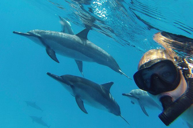Private Charter: Customizable Big Island Boat Adventure - The Practical Side: Booking & Cost