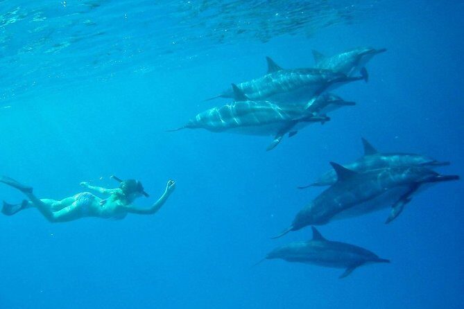 Private Charter: Customizable Big Island Boat Adventure - The Sum Up
