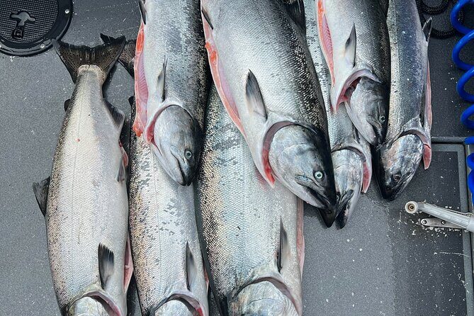 Private Charter Fishing - Full Port Time for Cruise Ship Guests - Who Is This Tour Best For?