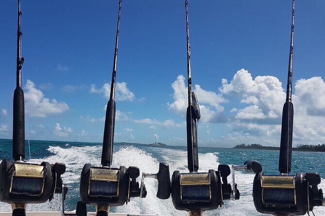 Private Charter for snorkeling, swimming pigs, turtles & fishing.... - The Sum Up