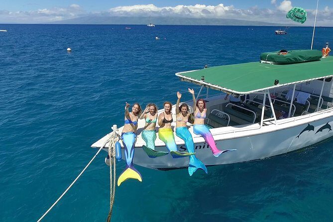 Private Charter Humpback Whale Watching & Dolphin Search - The Sum Up