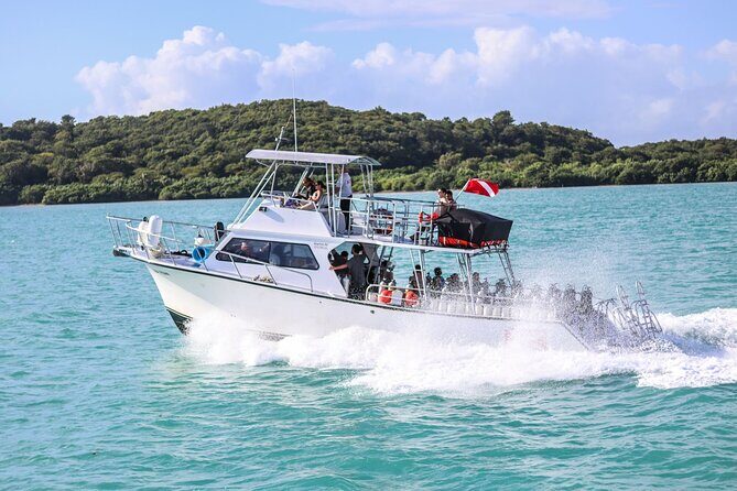 Private Charter - Icacos Island Snorkel and Boat Tour - Final Thoughts