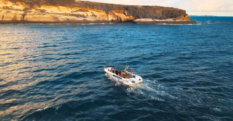 Private Charter Private Charter to see the whales - 2 Hours - What Makes This Tour Stand Out