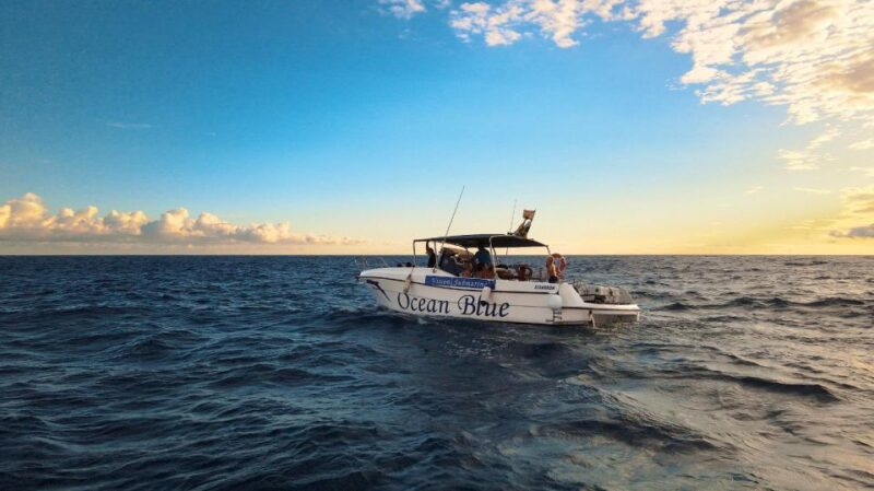 Private Charter Private Charter to see the whales - 2 Hours - Is It Good Value?