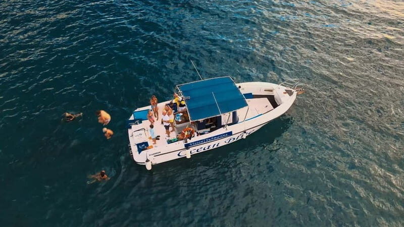 Private Charter Private Charter to see the whales - 3 Hours - Discovering the Canary Islands’ Marine Wonders with a Private Whale Watching Tour