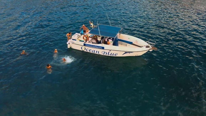 Private Charter Private Charter to see the whales - 3 Hours - Key Points