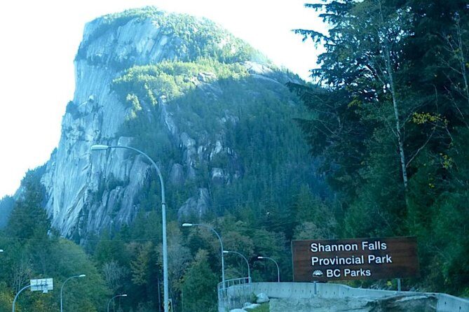 Private Charter Tour to Explore Vancouver and Surrounding Area - A Deep Dive into the Experience