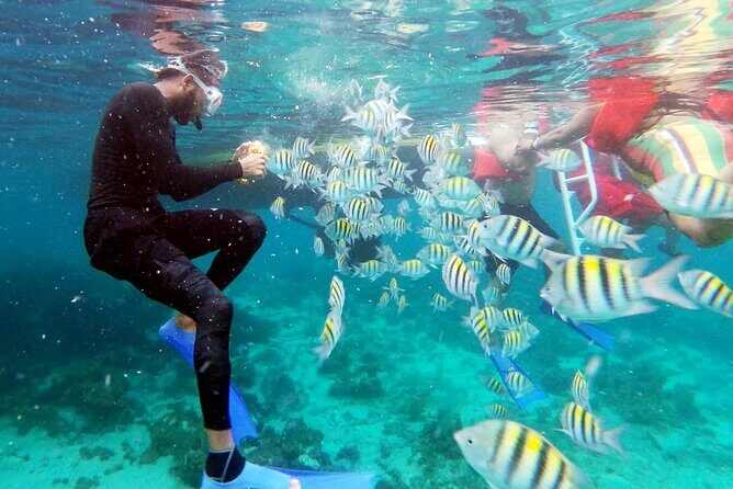 Private Charter Wedding Cruise with Free Bride Clear Kayak Shoot - Final Thoughts