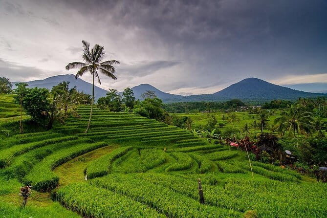 Private Chartered Car to Jatiluwih and Tanah Lot - Key Points