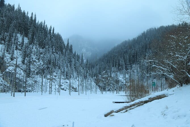 Private Charyn Canyon, Kolsai Lake with Optional Kaindy Lake tour - Logistics and Practical Details