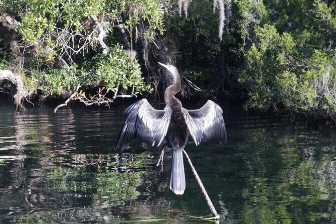 Private Chassahowitzka River Exploration kayak tour - FAQ