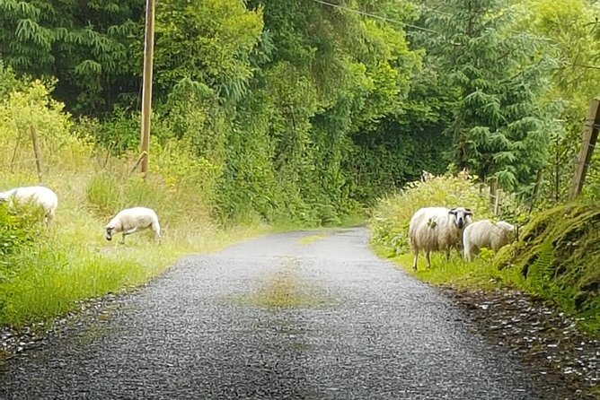 Private Chauffeur Service From Dublin to Lahinch - Is It Worth the Price?
