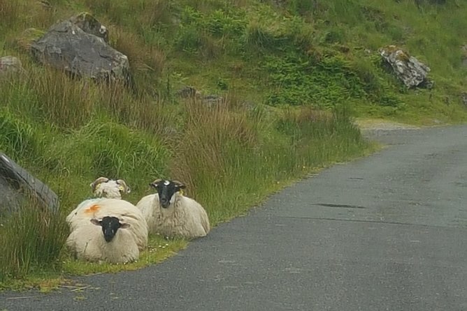 Private Chauffeur Service From Dublin to Lahinch - FAQ