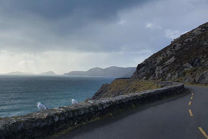 Private Chauffeur Service From Galway City to Dublin Airport - Final Thoughts