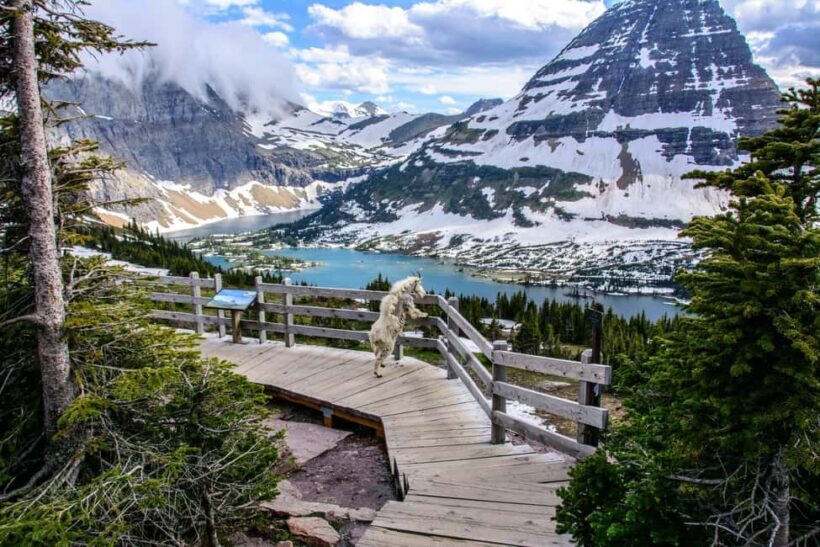 Private Chauffeur / Tour Guide Luxurious SUV Customizable - Who Will Love This Tour?