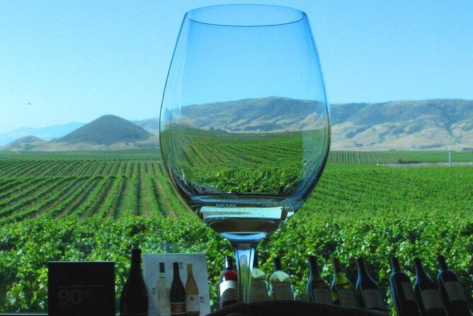 Private Cheese Trail, Wine Country & Giant Redwoods Day Tour from San Francisco - References