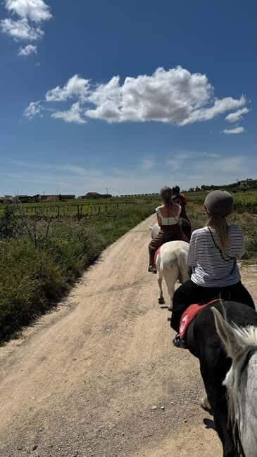Private Chianti Horseback Riding Wine Tasting and Lunch - Key Points