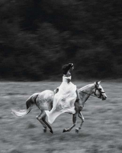 Private Chianti Horseback Riding Wine Tasting and Lunch - An In-Depth Look at Your Tuscany Escape