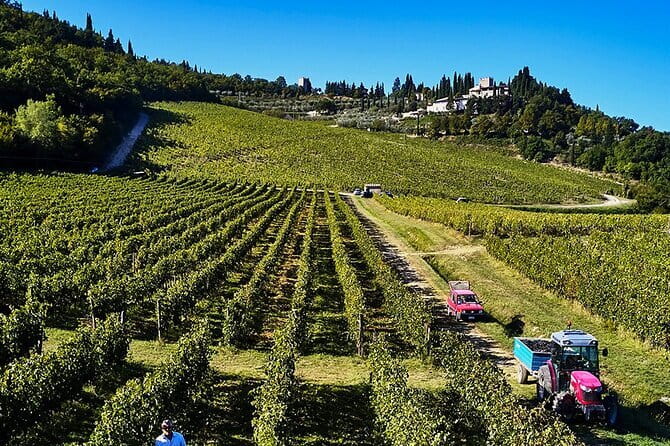 Private Chianti Tour and Wine Tasting - Montefioralle: A Medieval Treasure