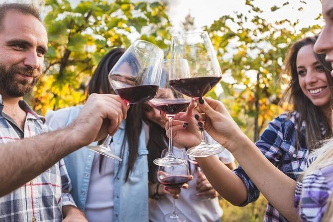 Private Chianti Tuscany Wine Tasting Tour from Florence - Practicalities and Travel Tips
