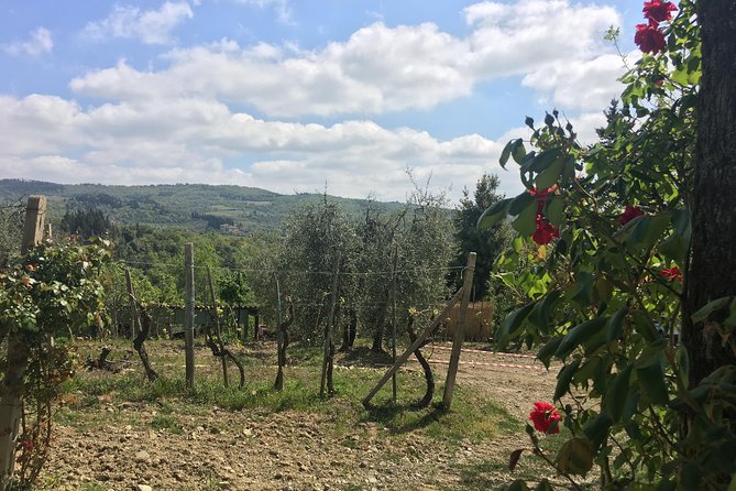 Private Chianti Wine Tour - Exploring Castellina in Chianti