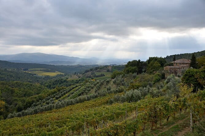 Private Chianti wine tour - Who Will Love This Tour?