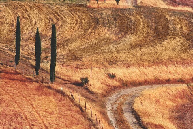 Private Chianti Wine Tour - Accessibility and Participation