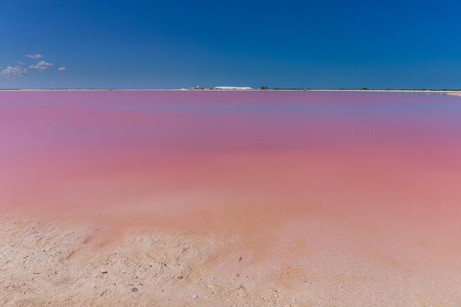 Private Chichen Itza, Cenote Ik Kil, Rio Lagartos & Las Coloradas - A Deep Dive into the Experience