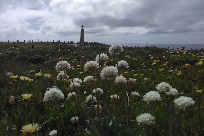Private Chilled Daytrip to Sintra - Who Is This Tour Best For?