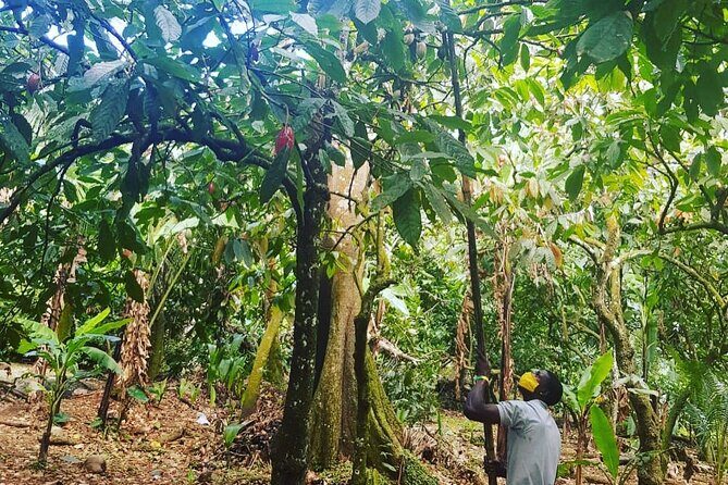 Private Chocolate Making Class - What Makes This Tour Stand Out?