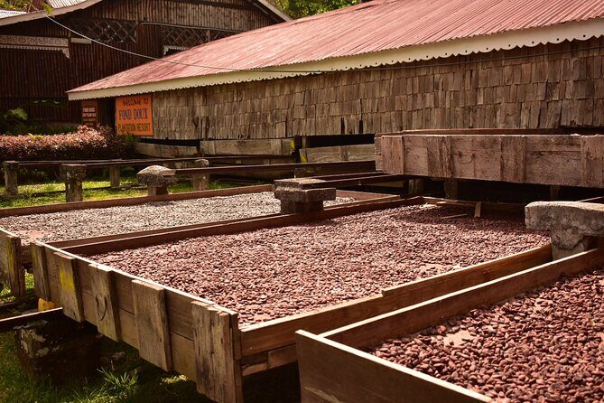 Private Chocolate Making Class - Practical Details and Tips for Travelers