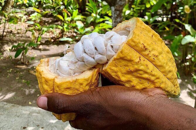 Private Chocolate Making Class - The Sum Up: Who Will Love This Experience?