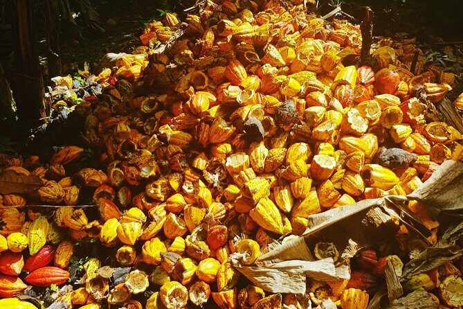 Private Chocolate Making Class - FAQ