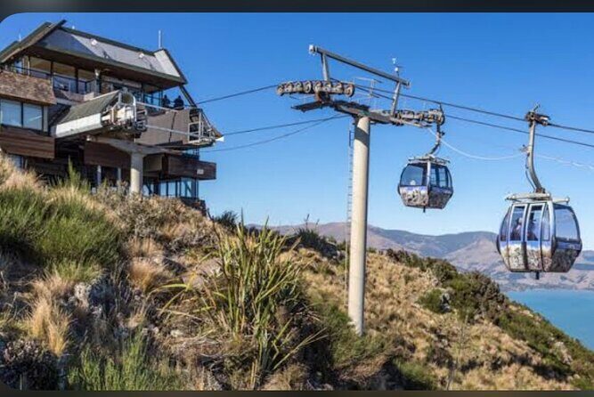 Private Christchurch City Full Day Tour - What to Expect from the Christchurch Full Day Tour