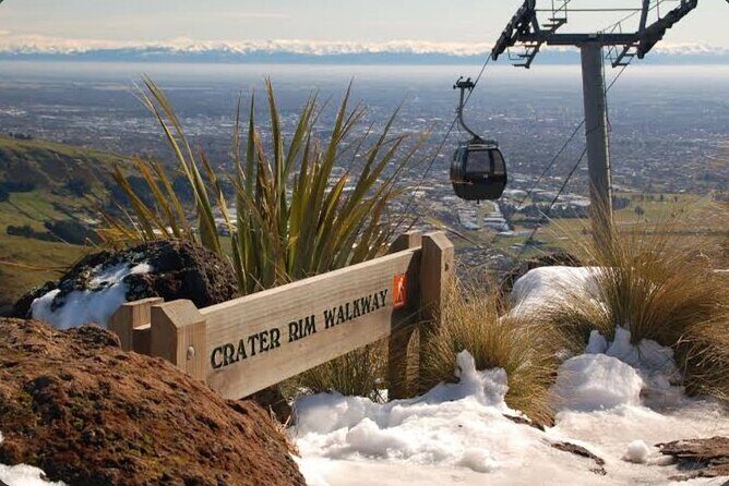 Private Christchurch City Full Day Tour - Reviews and Real Traveler Feedback