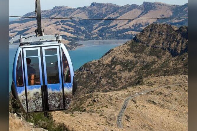 Private Christchurch City Full Day Tour - Who Is This Tour Best For?