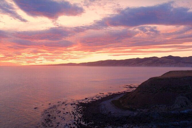 Private Christchurch City Highlight Half Day Tour - What Travelers Say