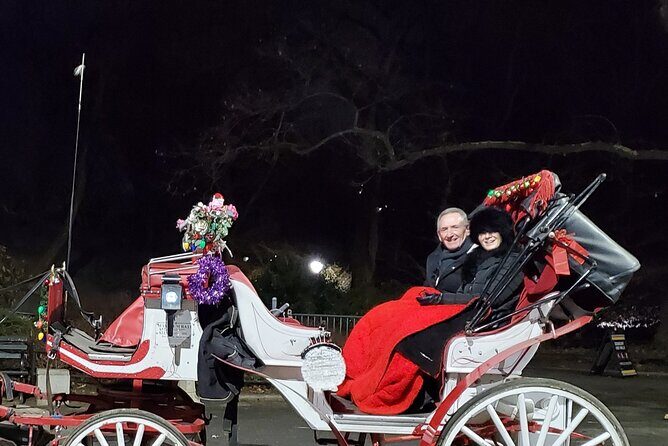 Private Christmas Lights Horse Carriage Tour In New York City - An In-Depth Look at the Private Christmas Horse Carriage Tour