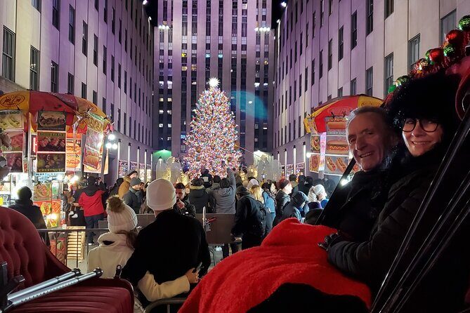 Private Christmas Lights Horse Carriage Tour In New York City - FAQ
