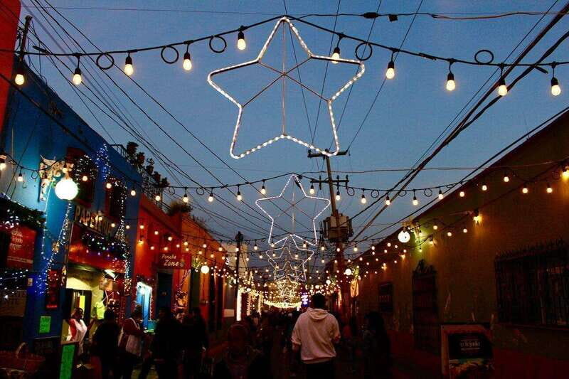 Private Christmas Walking Tour in Cabo San Lucas - Who Will Enjoy This Tour?