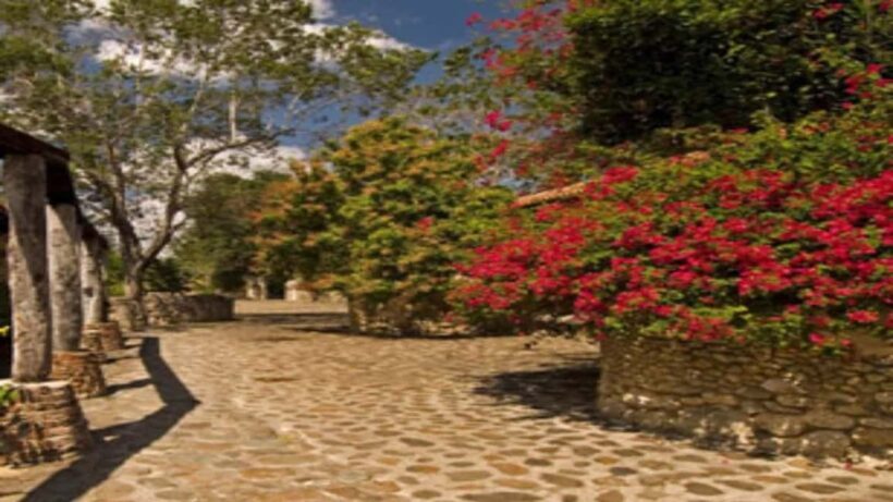 Private: Cigar Tour, Altos de Chavón, and Maravillas Caves - The Value of a Private Guide