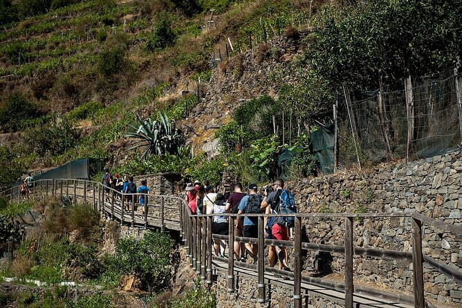 Private Cinque Terre Day Trip from Florence with Optional Hiking - What Makes This Tour Stand Out?