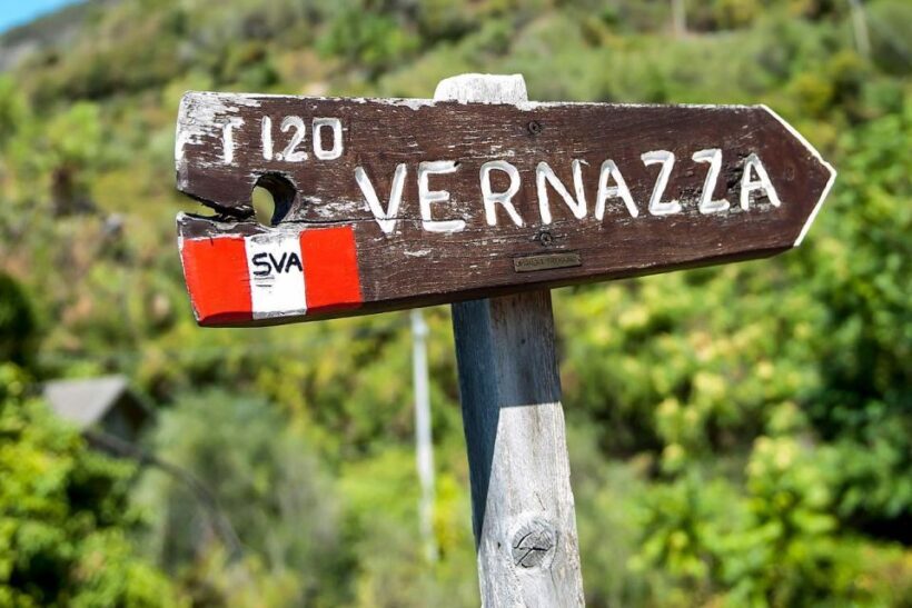 Private Cinque Terre Tour from Florence with Optional Hike - Final Thoughts