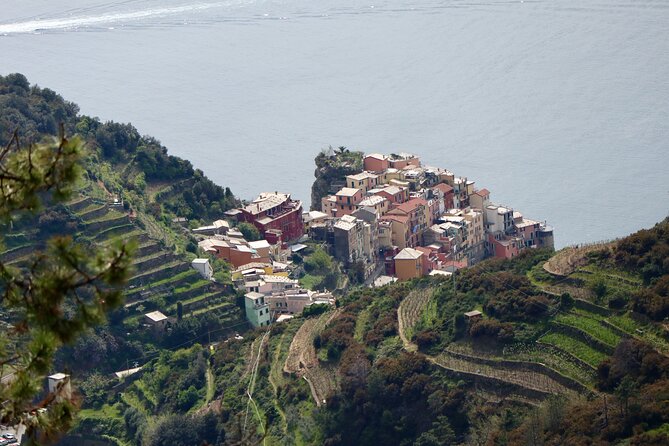 Private Cinque Terre Trek & Tour - Panoramic Views of the Ligurian Coast