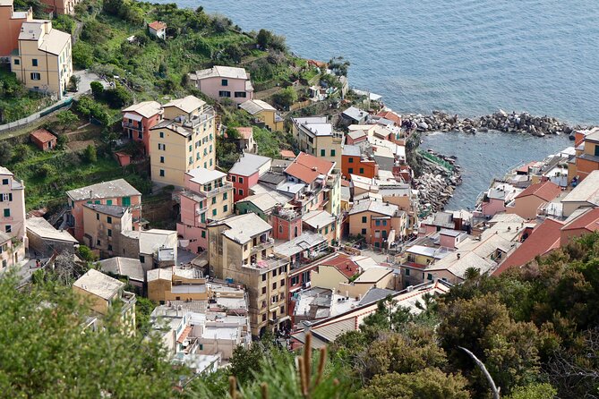 Private Cinque Terre Trek & Tour - Customer Testimonials