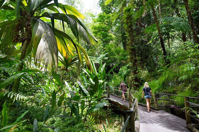 Private Circle Island Off-the-Beaten- Oahu Tour - What Past Travelers Say