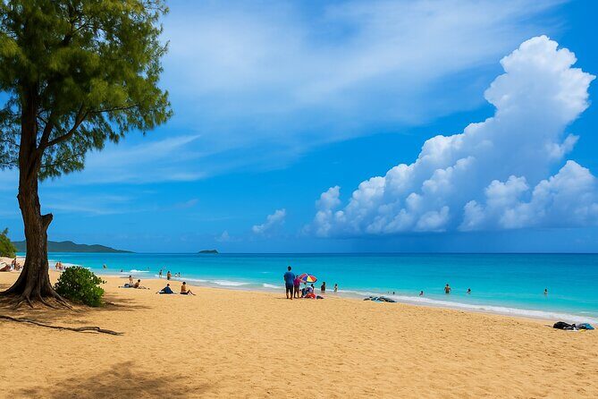Private Circle Island Tour North Shore and East Side - An In-Depth Look at the Itinerary